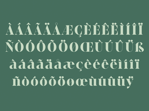 Meshed — Animography